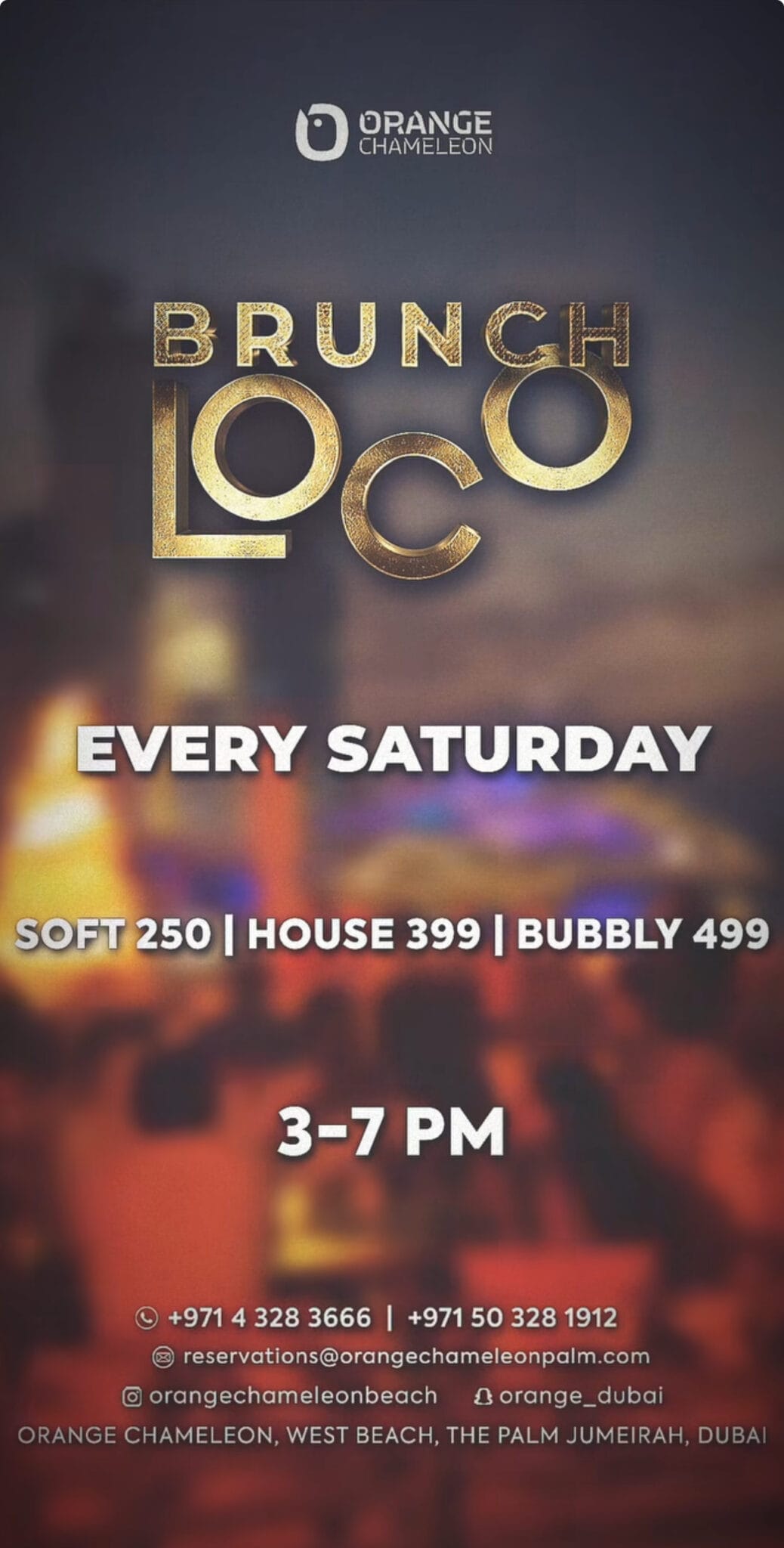 Saturday Brunch LOCO - Orange Chameleon - West Beach - dizzer
