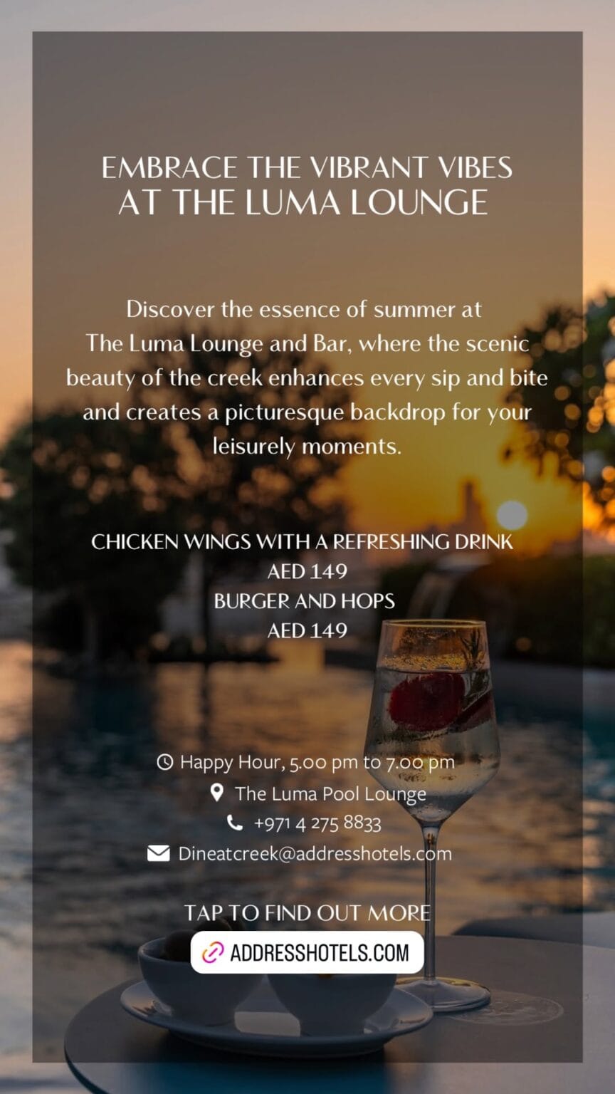 Embrace the Vibrant Vibes at Luma Pool Lounge - Luma Pool Lounge ...