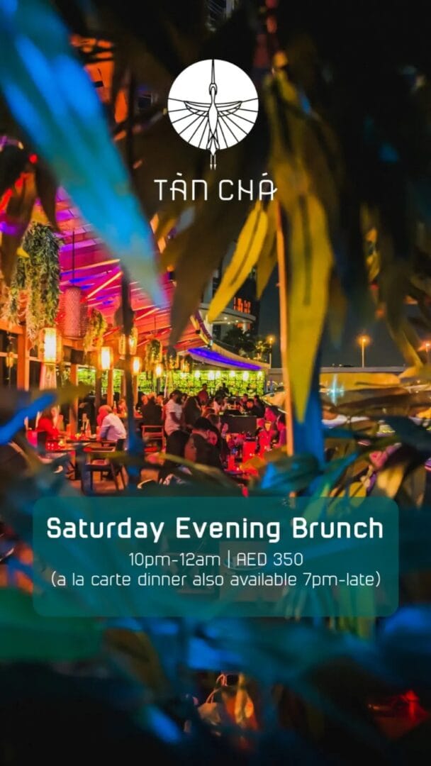 TAN CHA - JW Marriott Marquis Dubai - dizzer